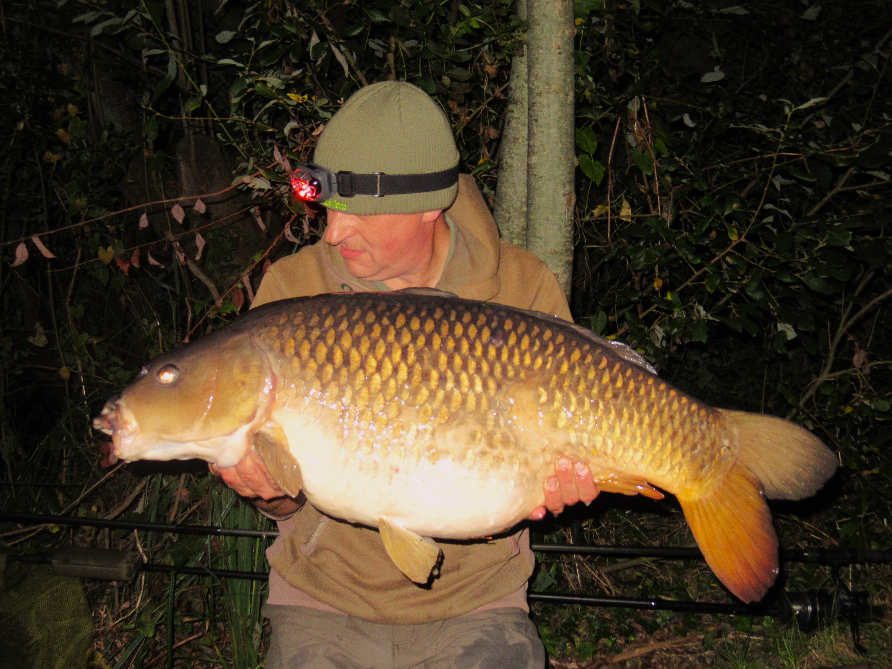 Spinks | Total Carp